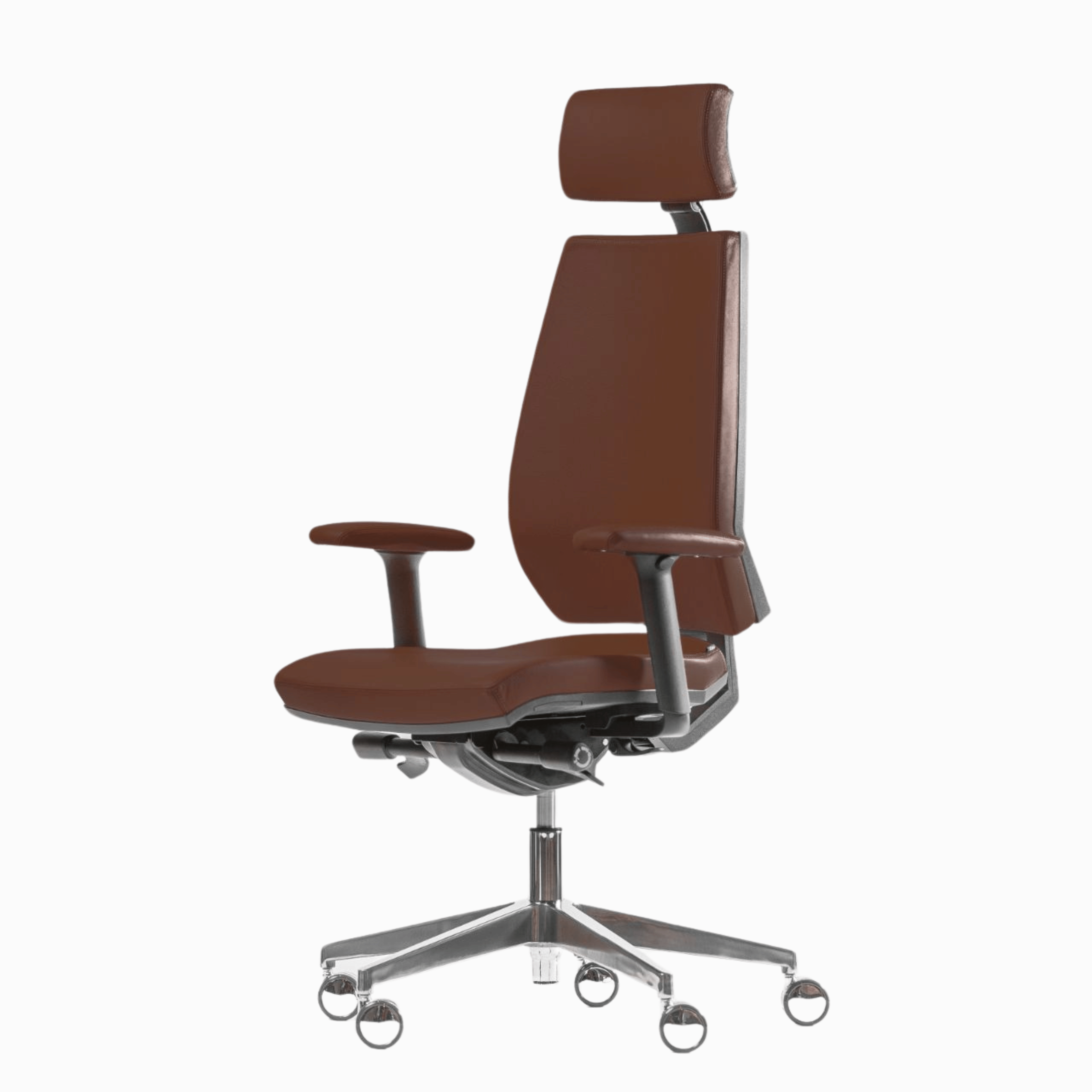 Ergonomic Chairs for Ultimate Comfort and Support | OAKO Denmark